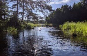 Colgate Lake - Having Fun Here! - OurNYState.com